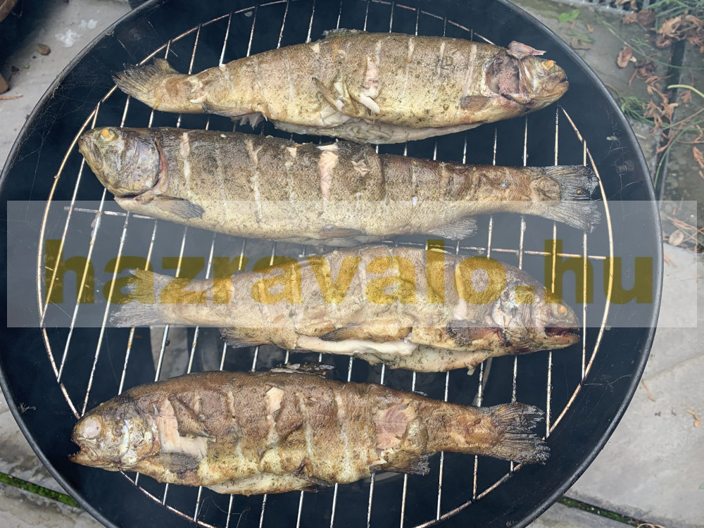 Füstölő és grillező egyben!